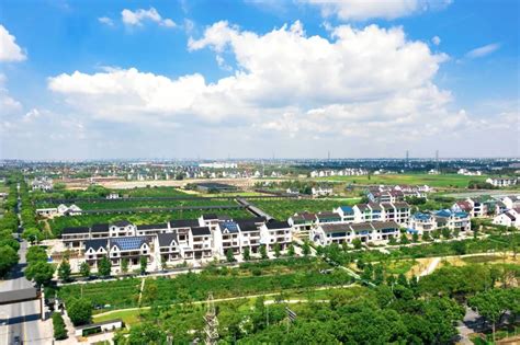 非凡十年金山行吕巷镇湾区桃源 幸福吕巷