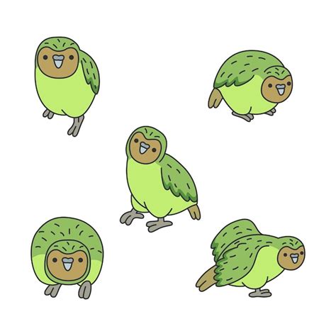 Premium Vector Set Of Cute Cartoon Kakapo Parrots Vector Illustration Isolated On White Background