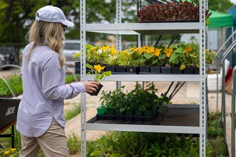 Vertical Garden And Its Benefits Brittany Corporation