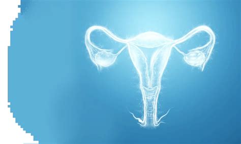 Lyber Pco Pcos Supplement