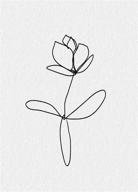 Minimalist Aesthetic Flower Drawing