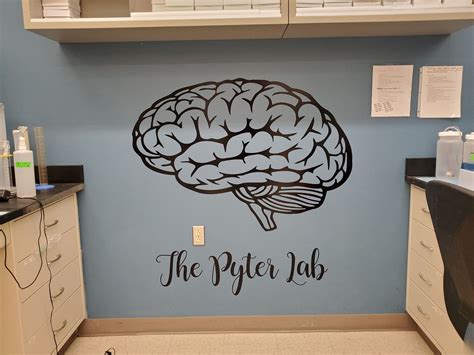 The Space The Pyter Laboratory