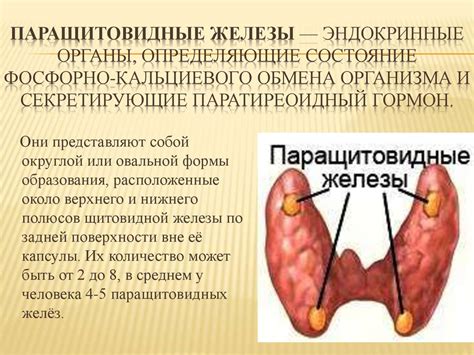 Паращитовидная железа Online Presentation