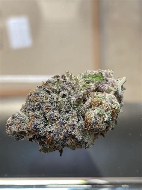 Wookie Girl Lives Up To The Hype Flmedicaltrees