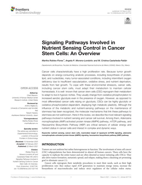 PDF Signaling Pathways Involved In Nutrient Sensing Control In Cancer Stem Cells An Overview