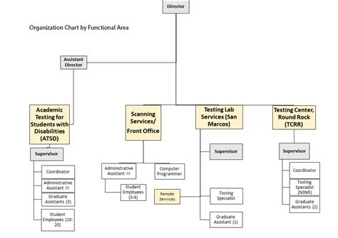Organizational Chart Testing Evaluation And Measurement Center TEMC