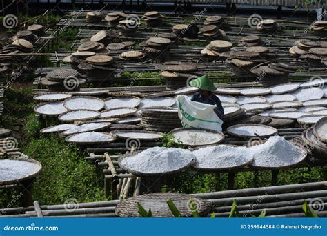 Tapioca Flour Cassava Maker In Sukabumi West Java Indonesia May 4