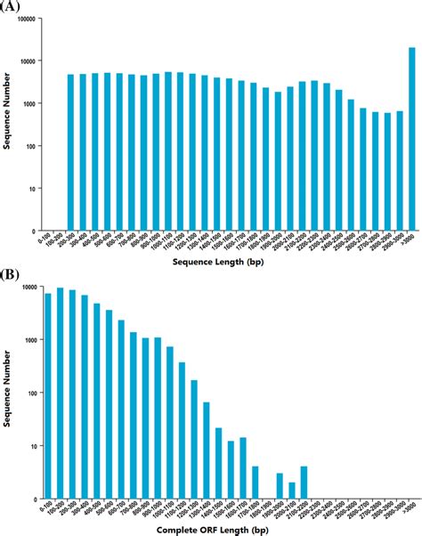The Length Distributions Of Non Redundant Transcripts And Completed