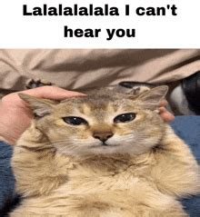 Cant Hear You S Tenor