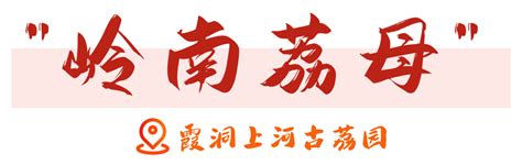 古荔芳华 · 茂名古荔 岭南荔母虚怀若谷叶绿团金：古树新发，枝叶繁茂荔枝林滩底