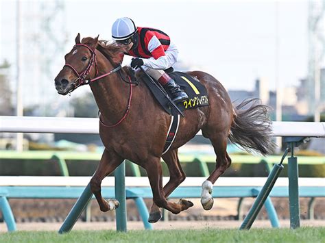 【有力馬動向】阪神cを目指すウイングレイテストが追い切り馬三郎のつぶやき 競馬ニュース Netkeiba