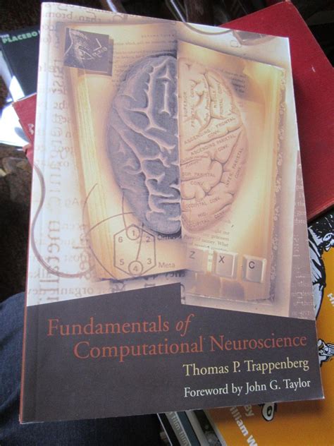Fundamentals Of Computational Neuroscience 9780198515838 Medicine And Health Science Books
