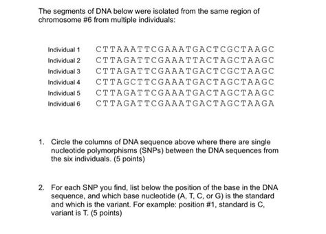 Solved The Segments Of Dna Below Were Isolated From The Same