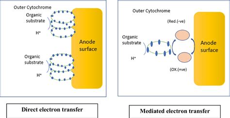 Direct And Mediated Electron Transfer Download Scientific Diagram