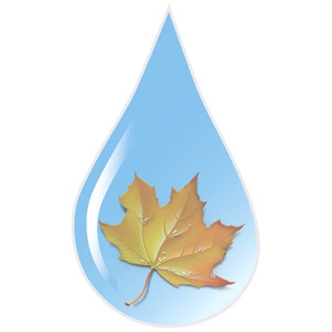 Cropped Logo Png 追风逐雨