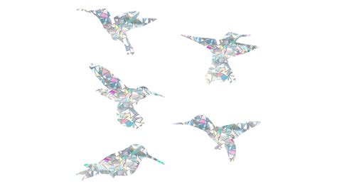 How To Stop Birds From Flying Into Your Windows Expert Tips And