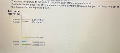 Solved Then Use This Picture To Calculate Rf Values Of Each Of The Answer