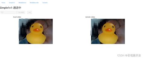 Webrtc入门指南 —— 实现一个完整的点对点视频通话（信令服务器客户端）webrtc 点对点通信 Csdn博客