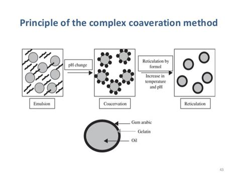 An Overview Of Encapsulation Technologies For Food