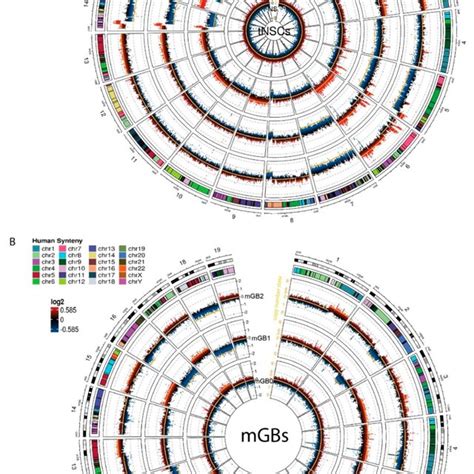 Copy Number Aberration Analysis Identifies Specific Chromosomal Download Scientific Diagram
