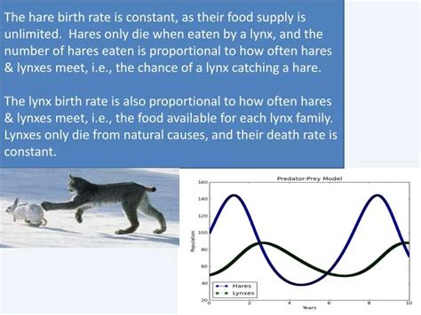 PPT Computational Thinking PowerPoint Presentation Free Download ID 2861228