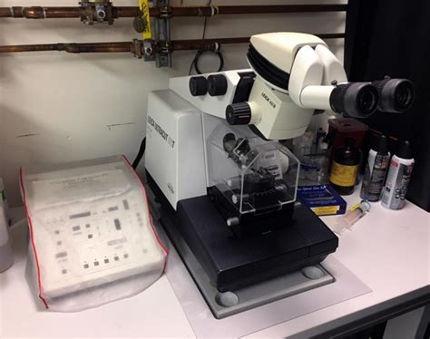 Electron Microscopy Harvard Cns