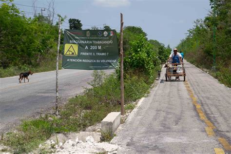Obras Del Tren Maya Han Deforestado 6 Mil 659 Hectáreas Cartocrítica