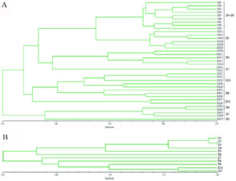 unweighted pair group method with arithmetic mean upgma dendrograms