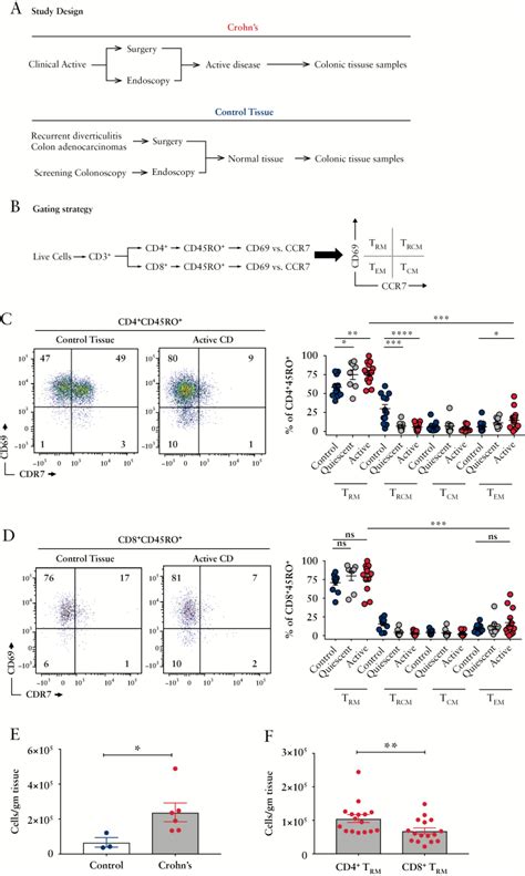 Cd4 Tissue Resident Memory T Cells Expand And Are A Major Source Of
