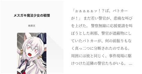 変身ヒロイン 魔法少女 メスガキ魔法少女の戦慄 暁寒天の小説 Pixiv