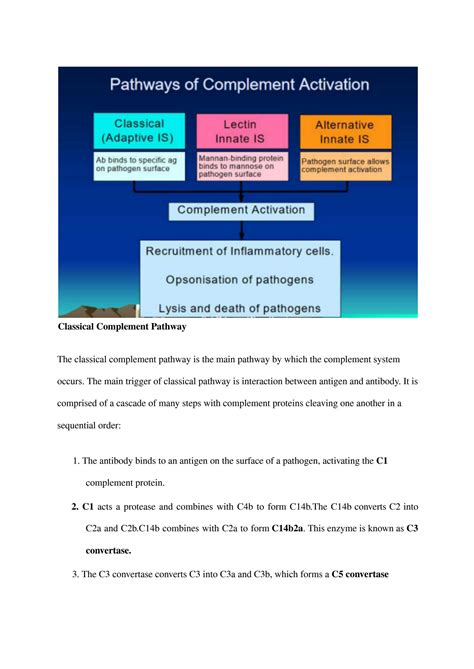 SOLUTION Complement System Studypool