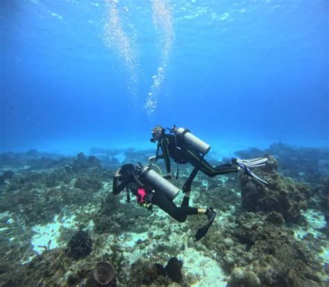 Scuba 사진 Unsplash에서 무료 이미지 다운로드