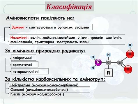 Амінокислоти Склад і будова молекул загальні та структурні формули систематична номенклатура