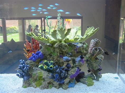 Saltwater Insert Saltwater Aquarium Beginner Aquarium Fish Saltwater Aquarium Fish