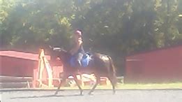 Smooth Strides Lessons Part 2