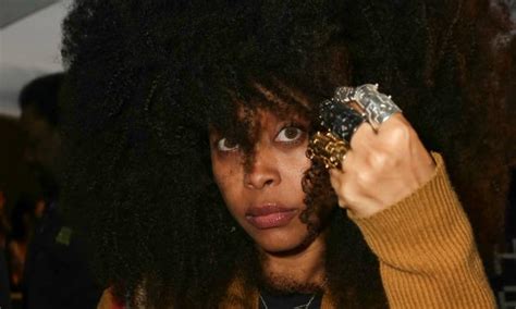 Erykah Badu Twerks At Roots Picnic Video