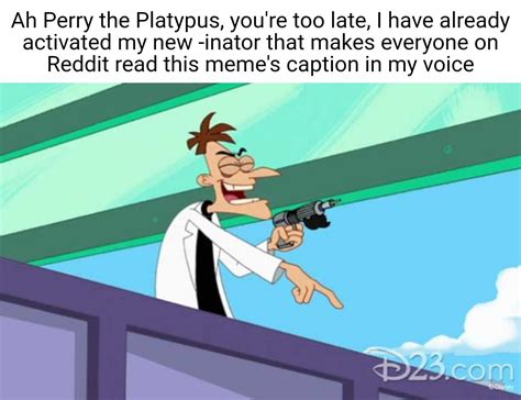 What A Doof Scrolller