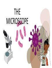Exploring The Microscope Parts Usage And Care Course Hero