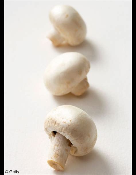 Polentarte de champignons et de mâche 25 recettes pour vitaminer