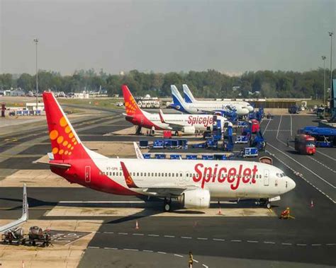 Spicejet Plane From Belgavi Suffers Bird Hit Lands Safely At Delhi Airport