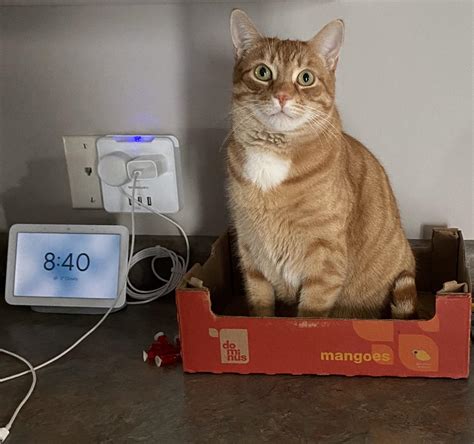 10000 Best Garys Images On Pholder Superstonk Bossfight And Gary The Cat