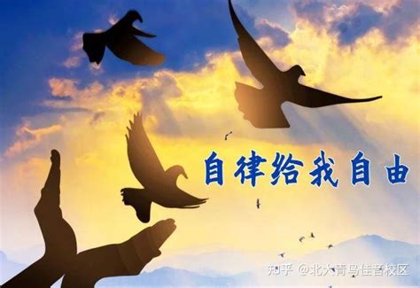 带你看北大青鸟校园—让自律成为一种习惯 知乎