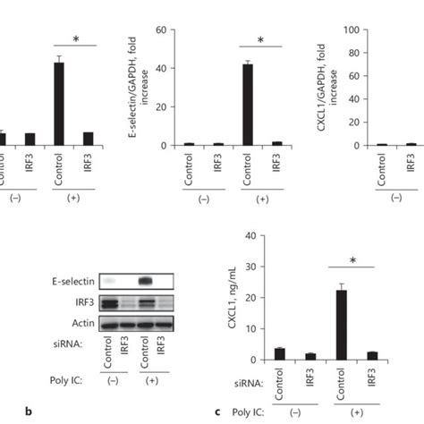 Proposed Model For The Role Of Tlr3 Irf3 Nf κb And Ifn β In The Download Scientific Diagram