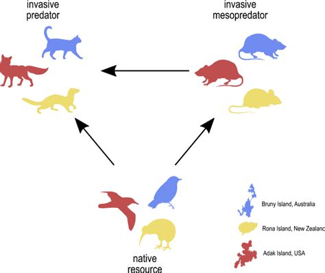 Simple Ecosystem Examples