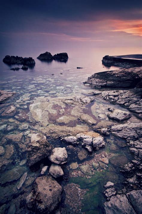 Raw Nature Feature 4 By Raw Nature On Deviantart