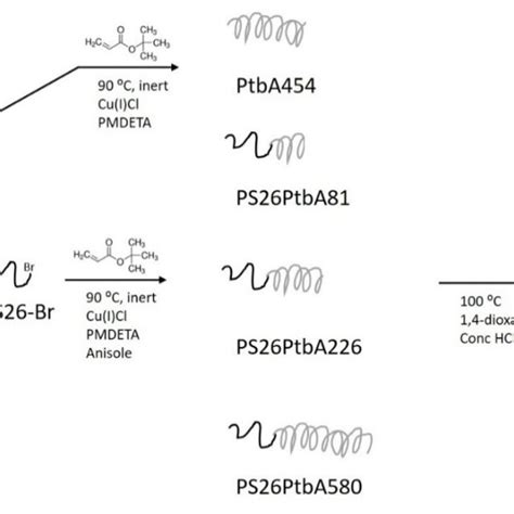 Process Design For The Synthesis Of Amphiphilic Block Copolymers Used