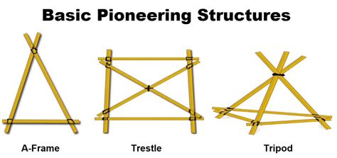 Pioneering Projects