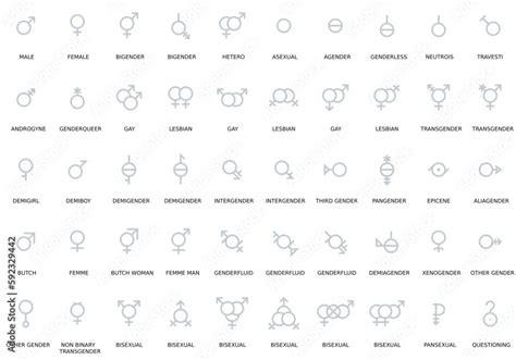 Gender And Sexual Orientation Identity Vector Symbol Sign Icons Stock
