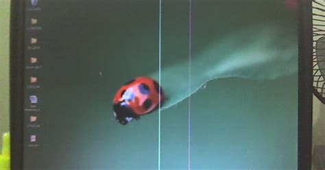 Cara Memperbaiki Layar Laptop Lcd Yang Rusak Bergaris Kumpulan Artikel Tentang Ict