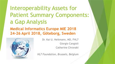 Interoperability Assets For Patient Summary Components A Gap Analysis